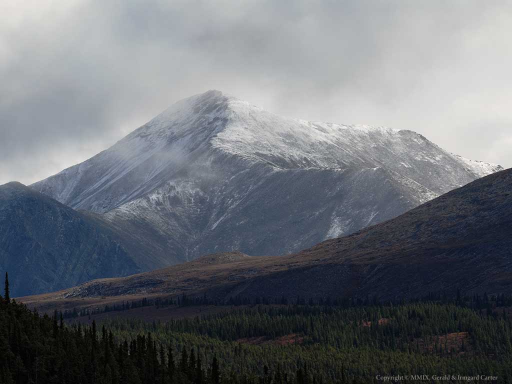 First Dusting of Snow